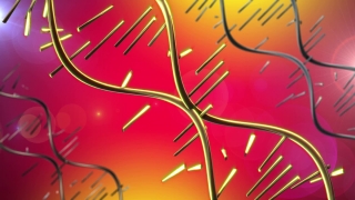 Snagit 9 transparent background - destinationfer