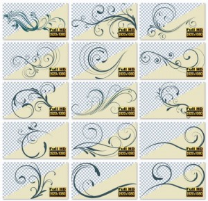 Callouts Creative Assets | 15 New Transparent Flourish Animations